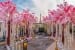 Secret Table Peninsula Paris: mind-blowing rooftop proposals